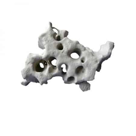 Asian Natural Holestone White - Αquario.gr - Το καλύτερο ενυδρειακό ...